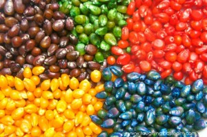 How to dye corn kernels for play - Laughing Kids Learn